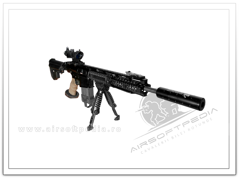 Portofoliu SR-25 custom DMR - AirsoftPedia.ro